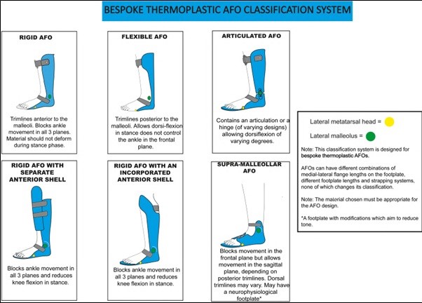 Classification System for Bespoke Thermoplastic Ankle Foot Orthoses ...